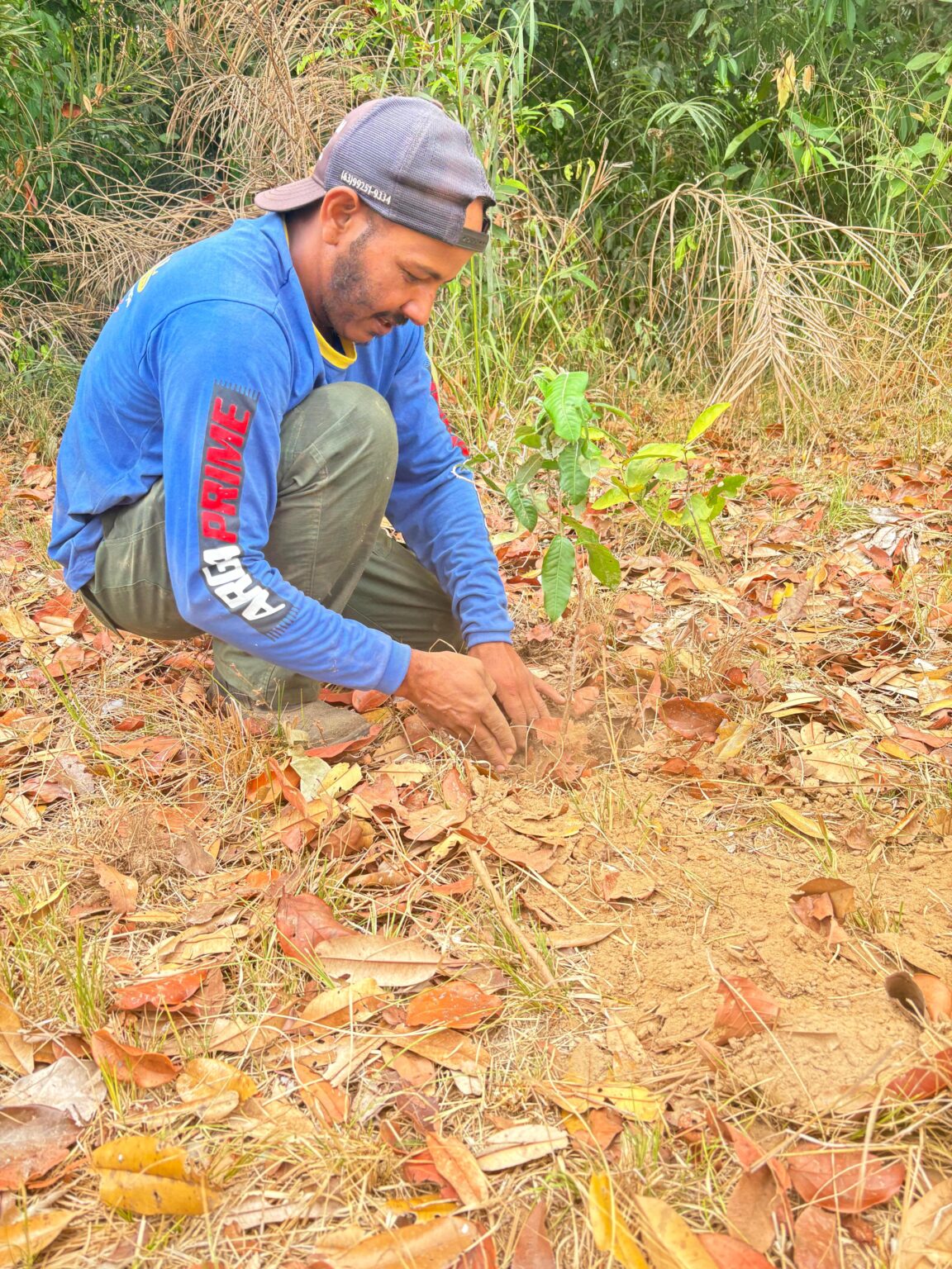 Prefeitura Municipal de Dueré